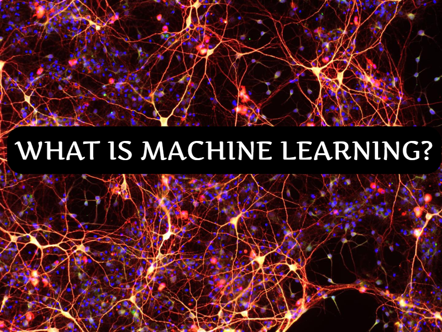 机器学习是什么？它的类型是什么？ | 磐创AI-开放猫官方网站